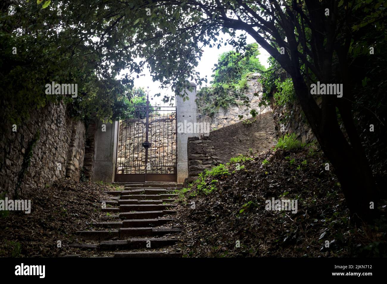 Uphill staircase bordered by stone walls in a grove with trees arching ...