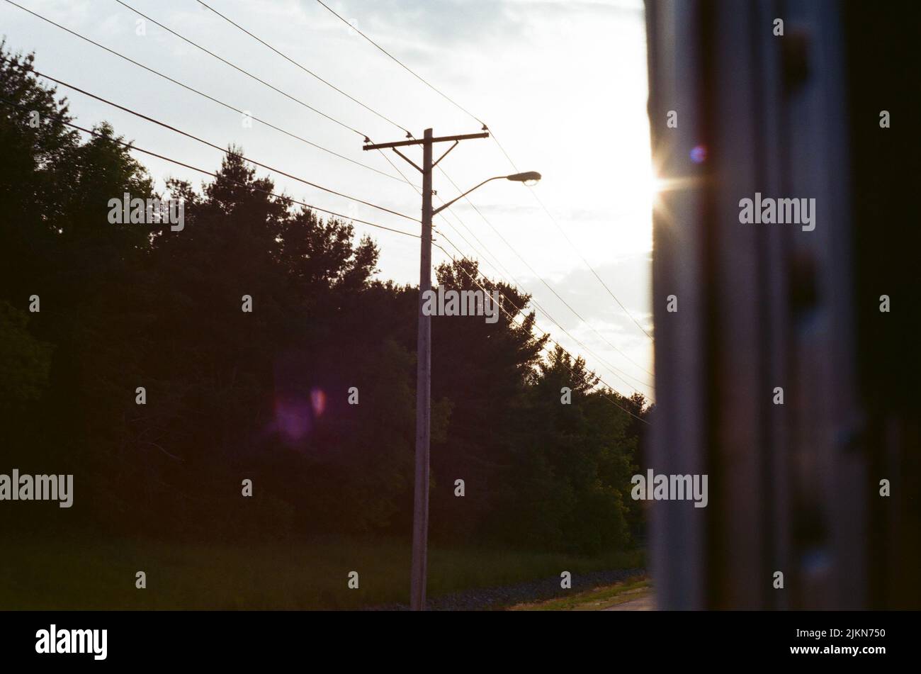 The powerline next to the trees on a bright sky background Stock Photo ...