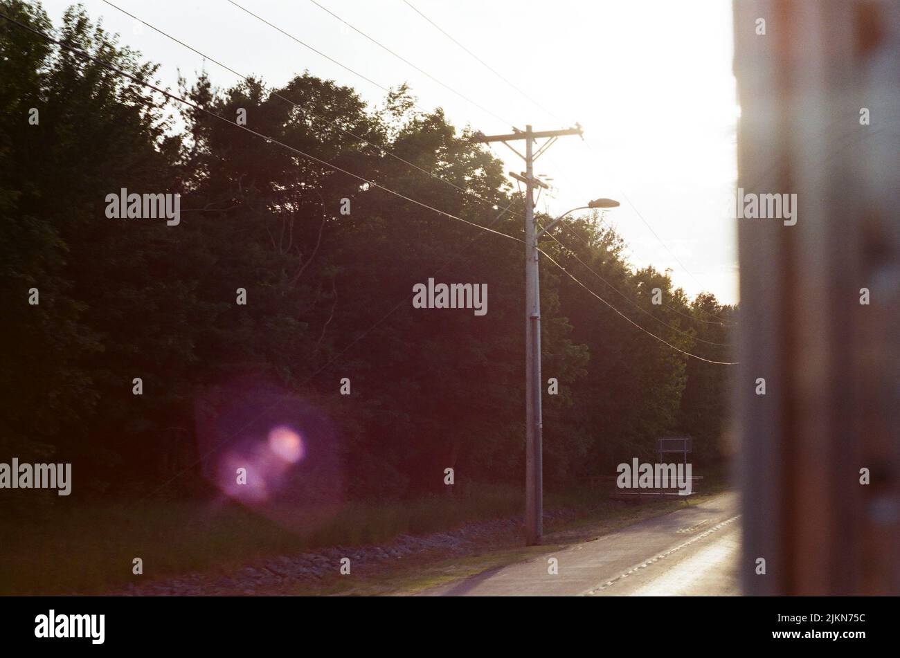 The powerline next to the trees on a bright sky background Stock Photo ...