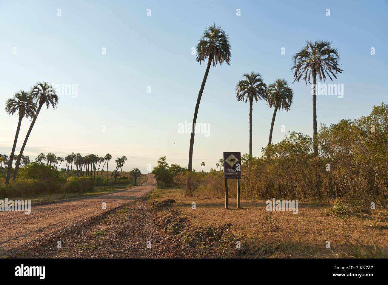 Dec 31, 2021, El Palmar National Park, Entre Rios, Argentina: Dirt road ...