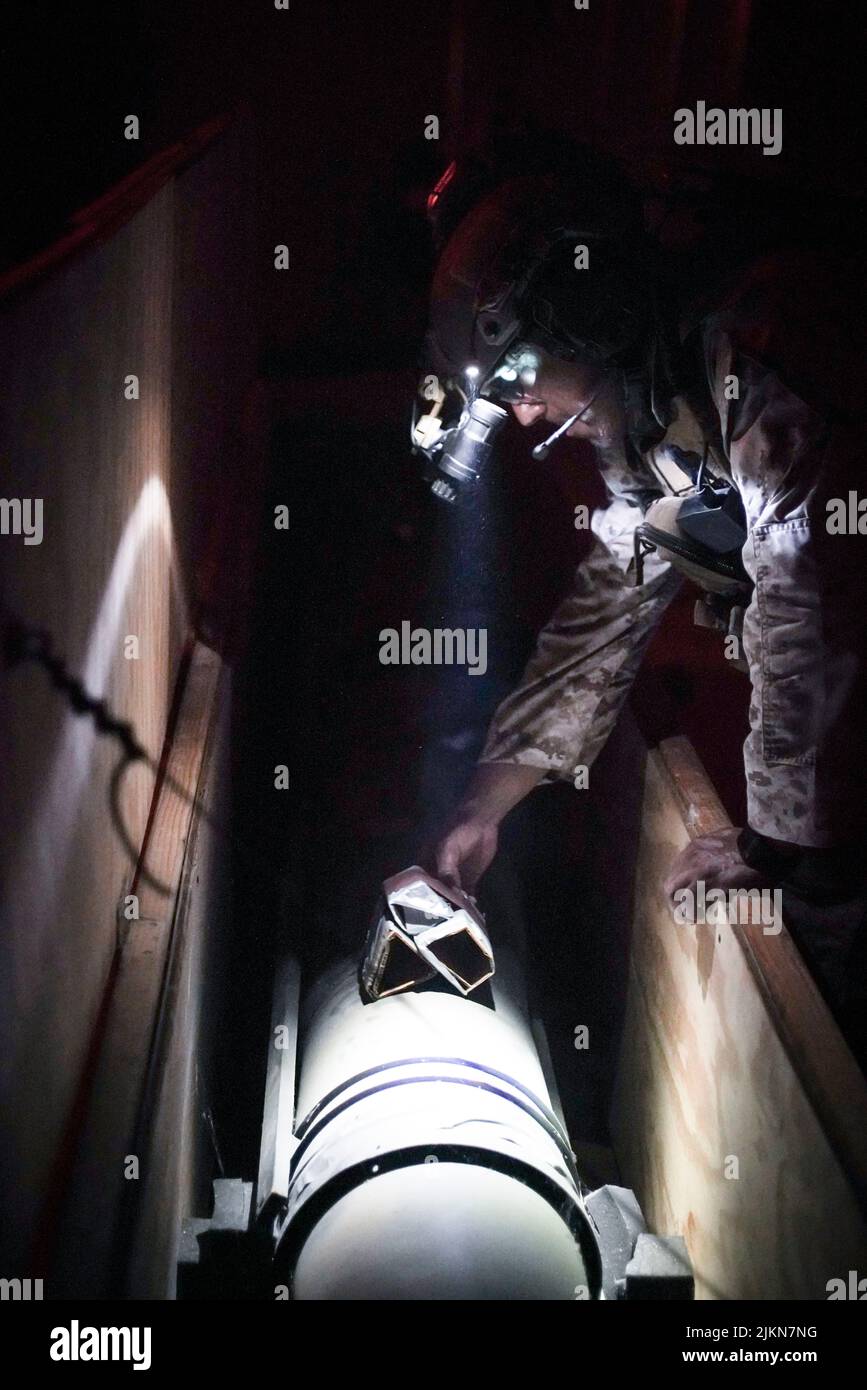 An explosive ordnance disposal technician with Combat Logistics ...