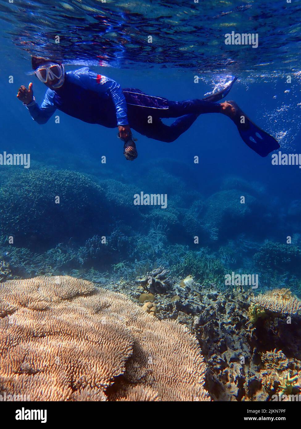 Indonesia Anambas Islands - Fishermen collection Sea snails Stock Photo ...