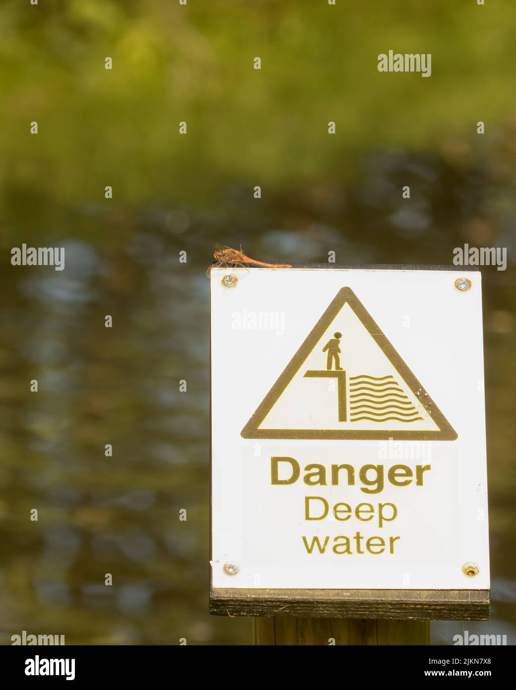 A red Dragonfly perched on Danger Deep Water sign with blurred natural ...