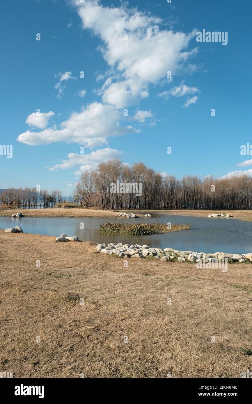 A vertical shot of the Erhai Lake wetland park. A conservation area ...