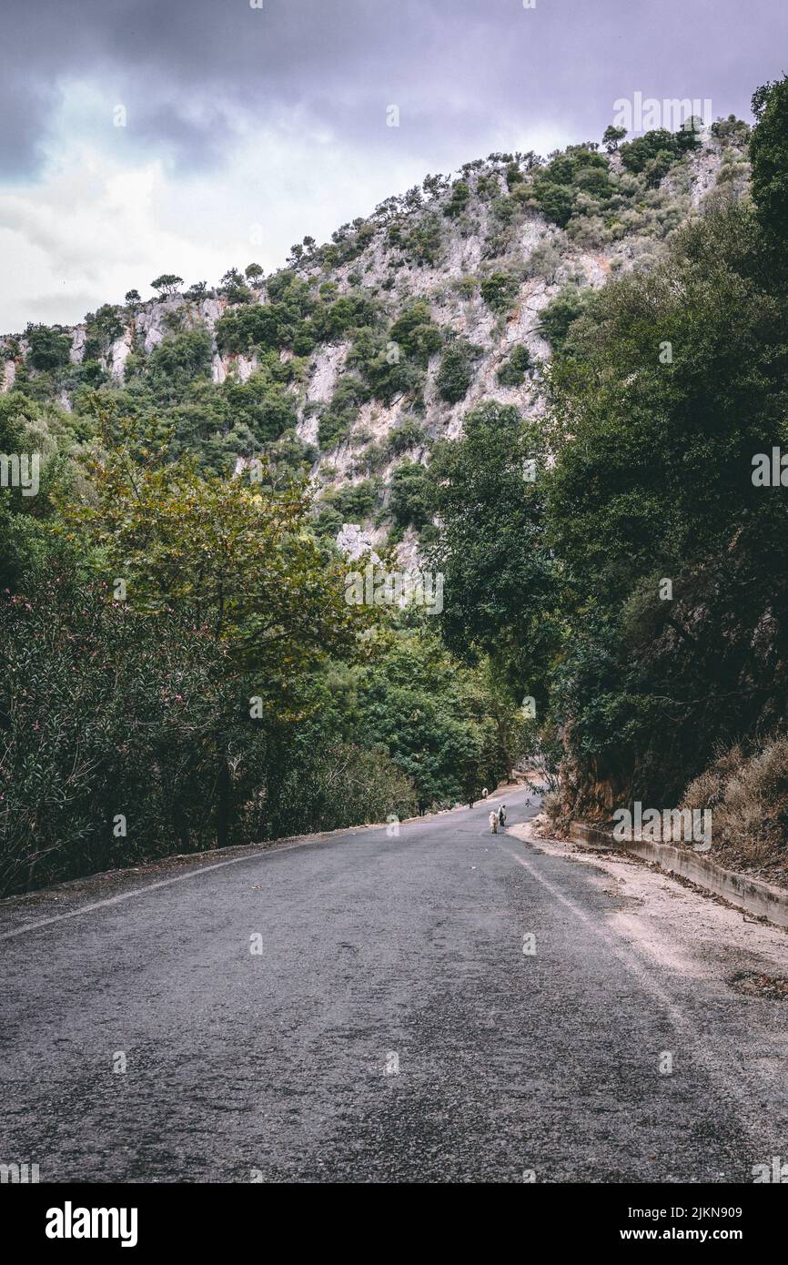 A vertical shot of an asphalt road against rocky mountains covered with ...