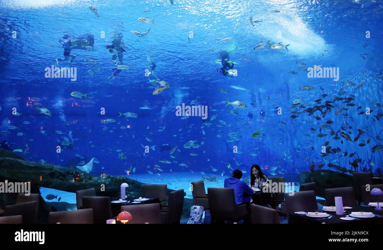 SHANGHAI, CHINA - JULY 30, 2022 - Couples watch fish swimming freely as ...