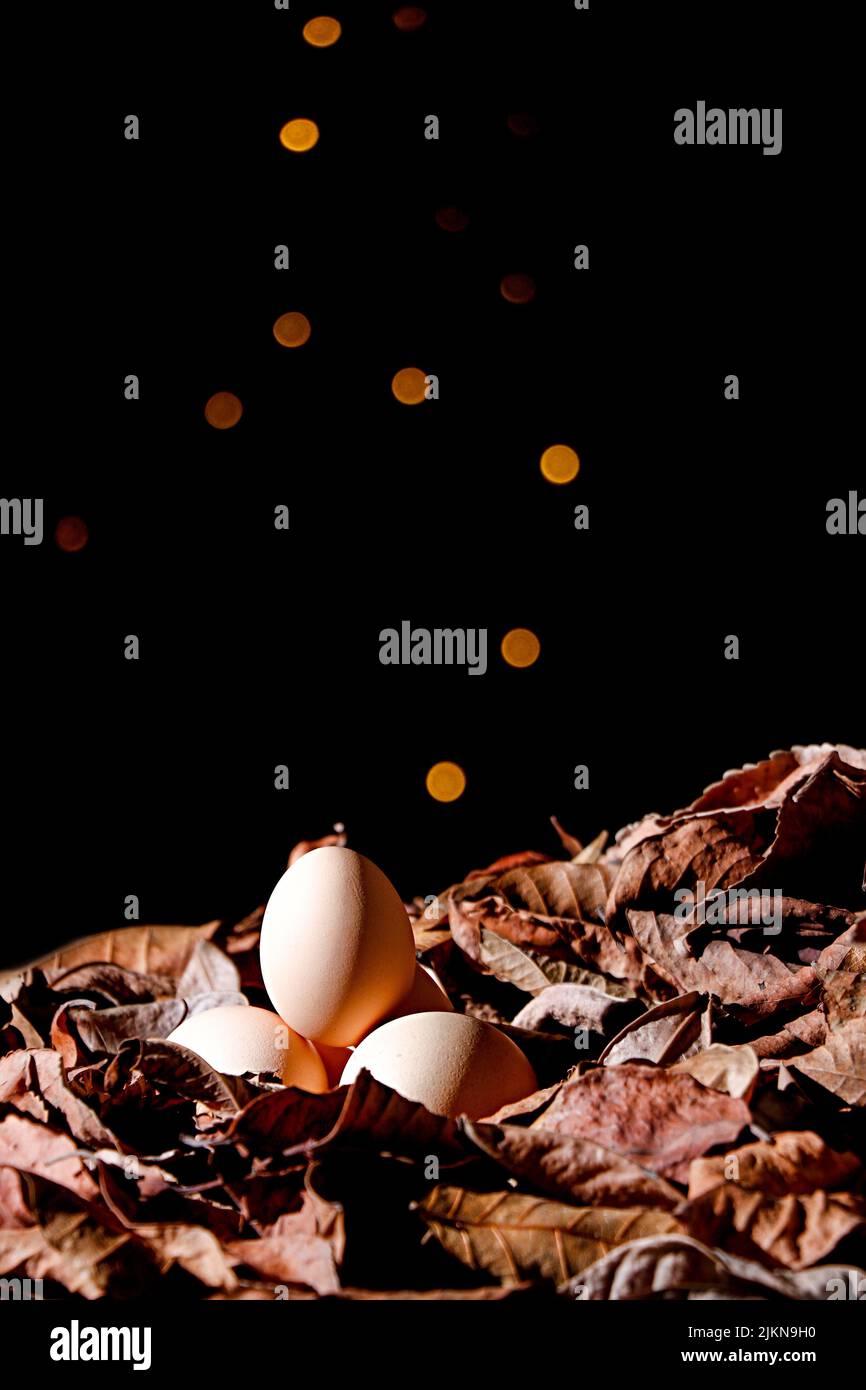 The beautiful autumn decoration with raw eggs and dry leaves on the ...