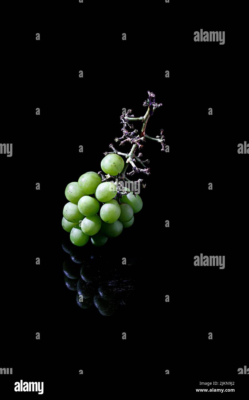 A vertical closeup of a cluster of green grapes isolated on a black ...