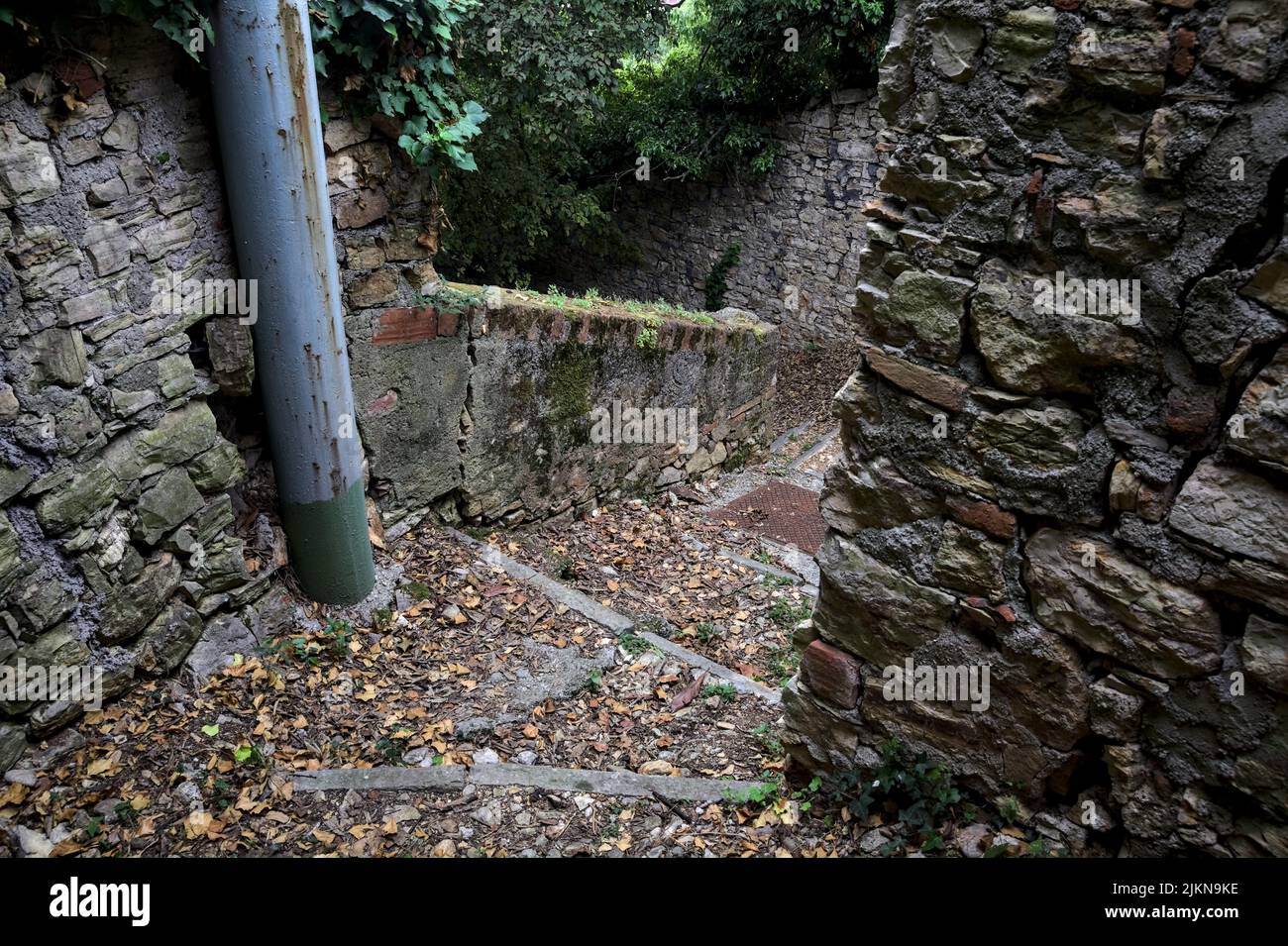 Descending stone staircase in a grove bordered by boundary stone walls ...
