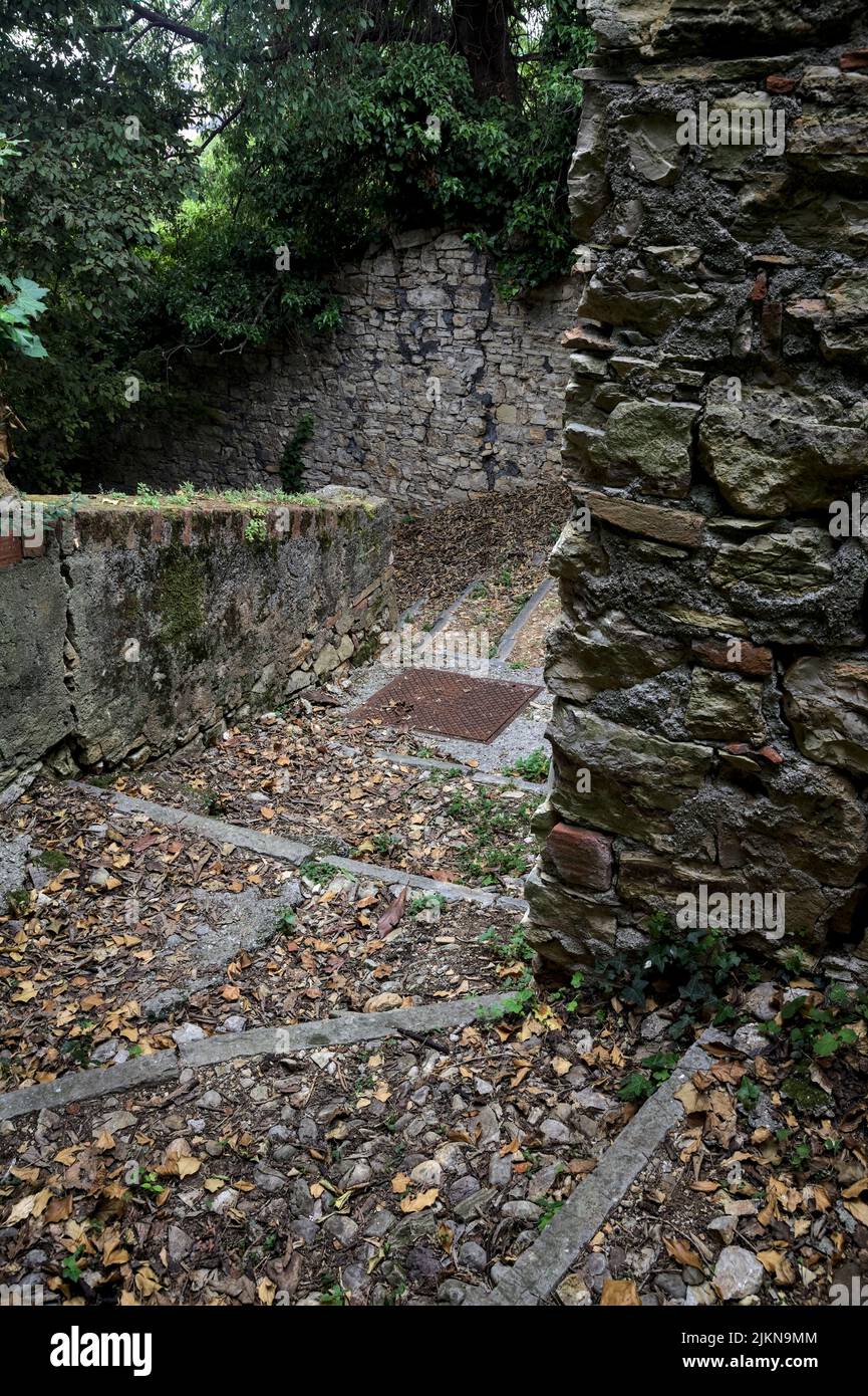 Descending stone staircase in a grove bordered by boundary stone walls ...