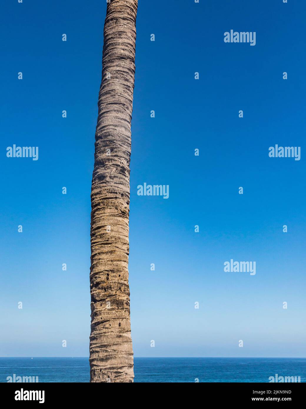 Simple tree trunk hi-res stock photography and images - Alamy