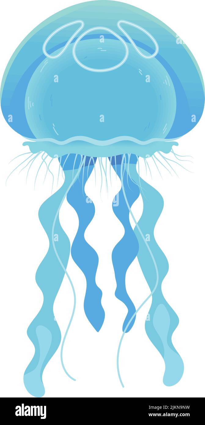 blue jellyfish icon Stock Vector Image & Art - Alamy