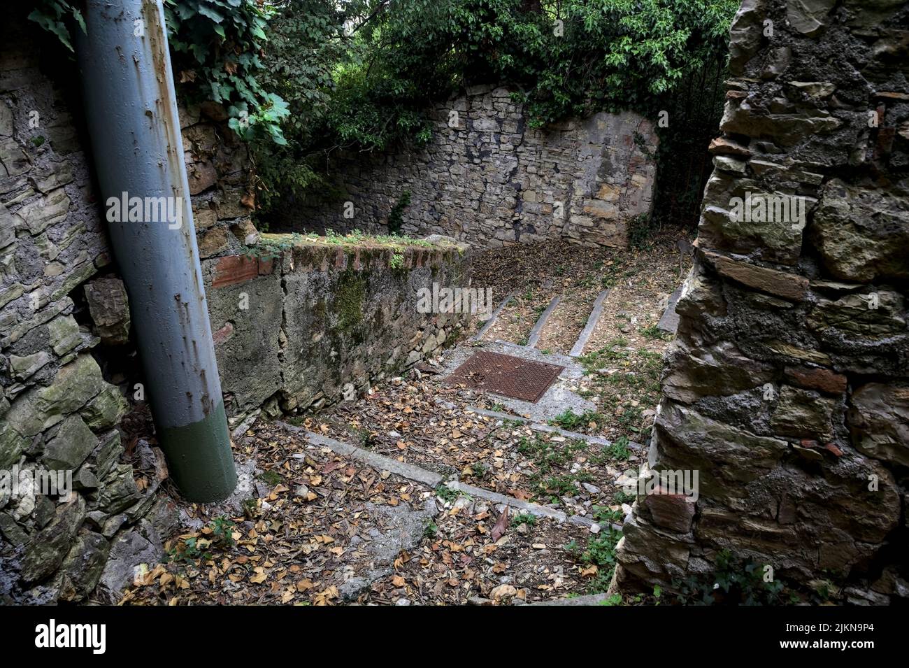 Descending stone staircase in a grove bordered by boundary stone walls ...
