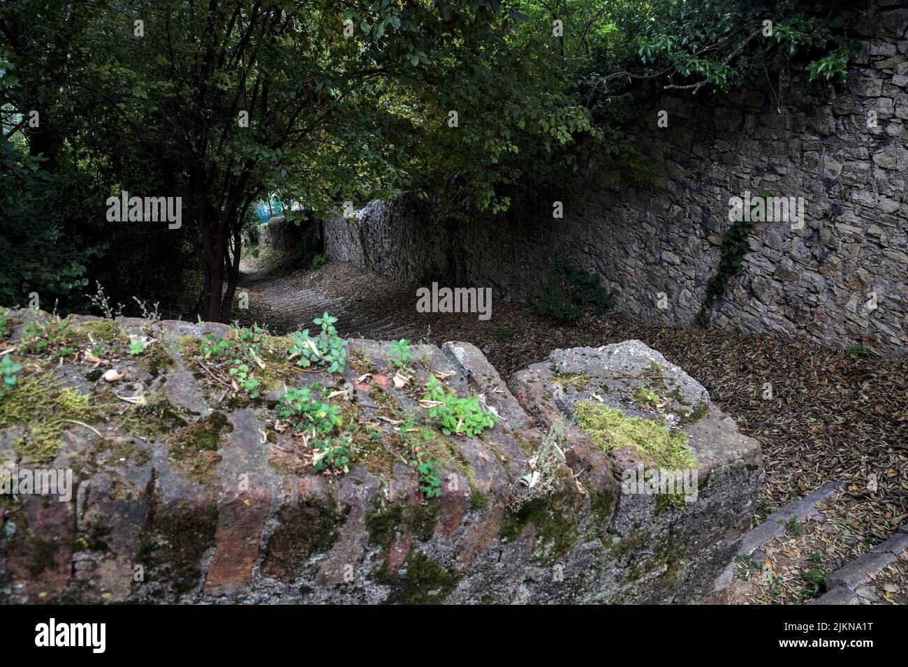 Descending stone staircase in a grove bordered by boundary stone walls ...