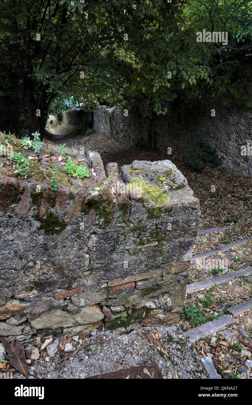 Descending stone staircase in a grove bordered by boundary stone walls ...