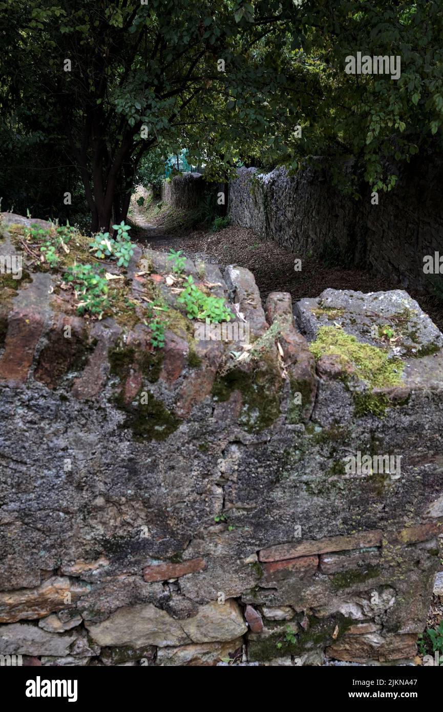 Descending stone staircase in a grove bordered by boundary stone walls ...