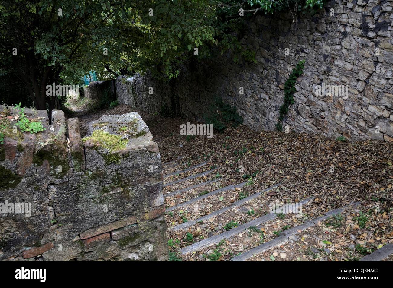 Descending stone staircase in a grove bordered by boundary stone walls ...