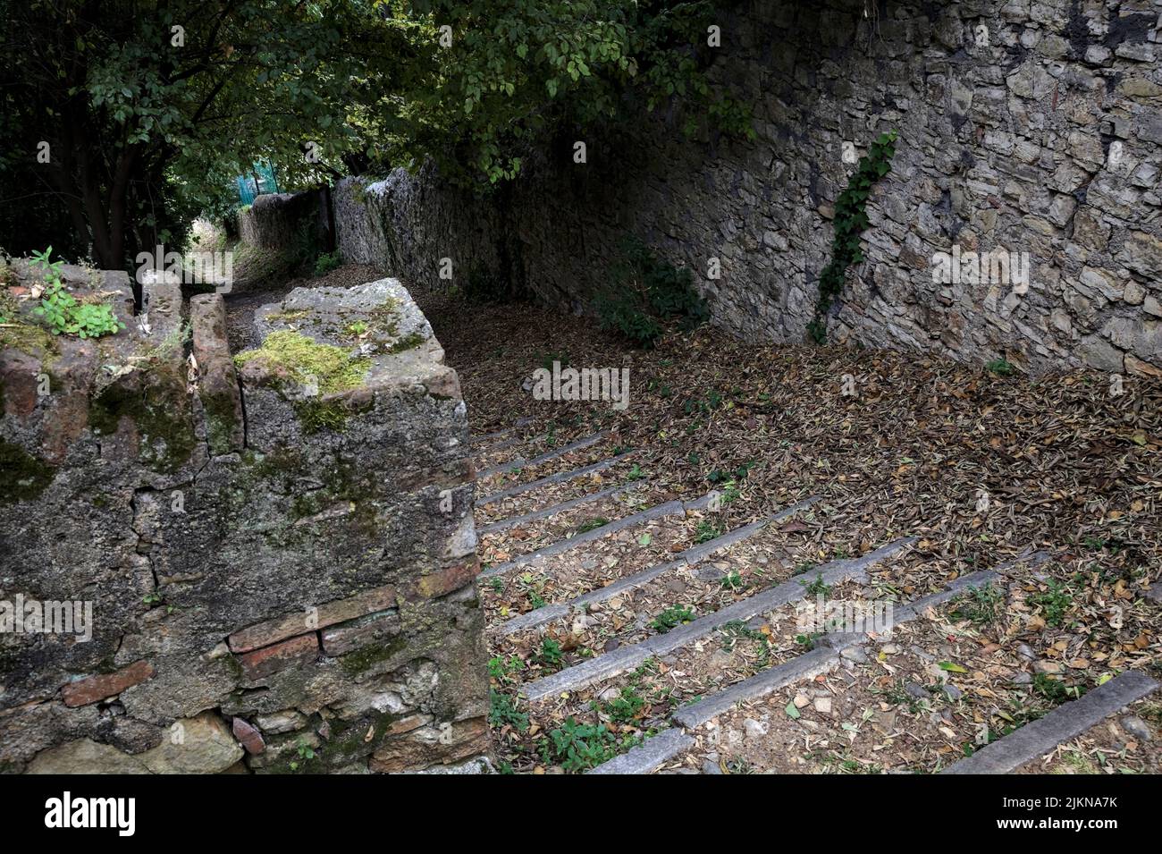 Descending stone staircase in a grove bordered by boundary stone walls ...