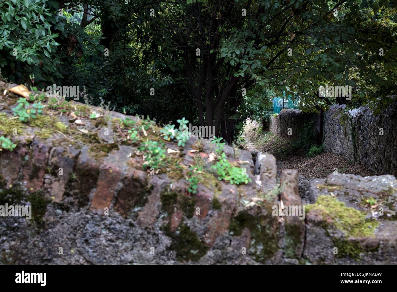 Descending stone staircase in a grove bordered by boundary stone walls ...