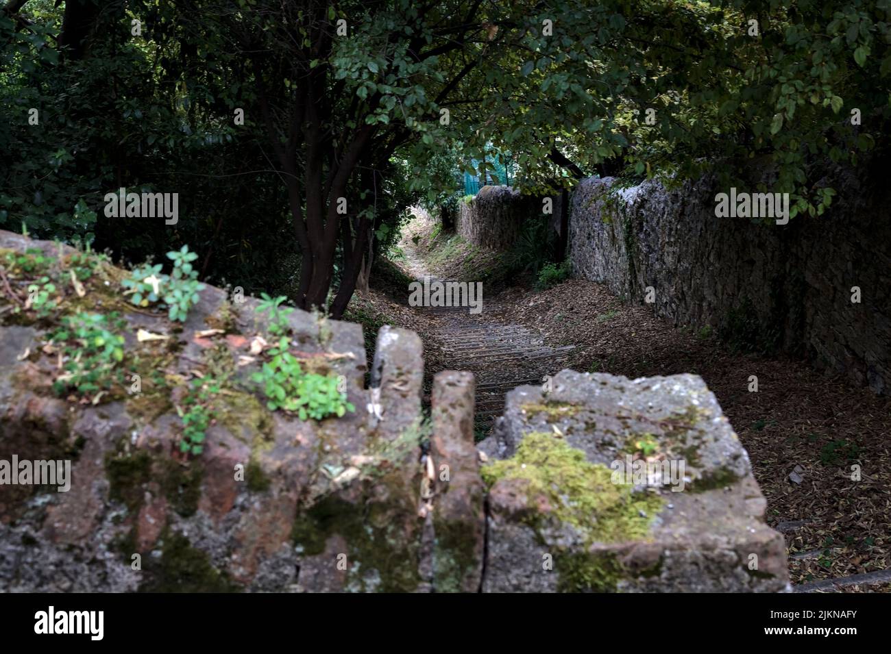 Descending stone staircase in a grove bordered by boundary stone walls ...