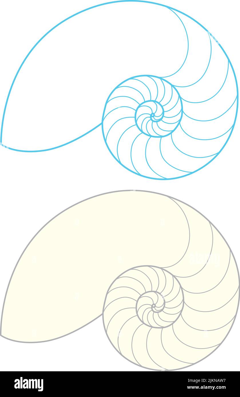 Nautilus Shell Outline