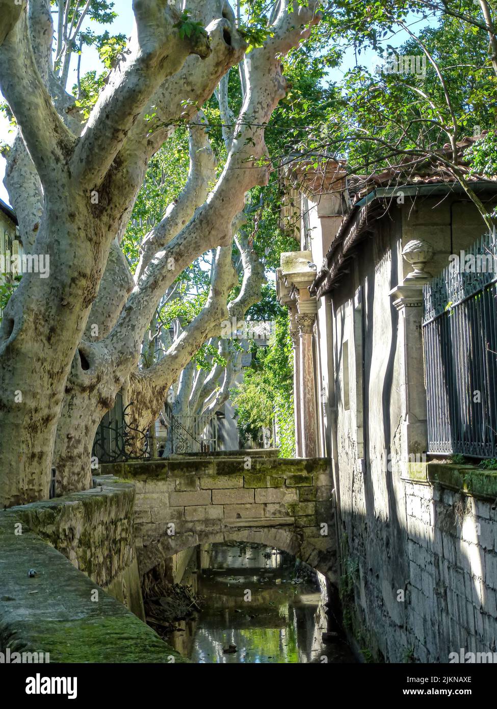 A water channel passing next to the house, huge trees grow along the ...