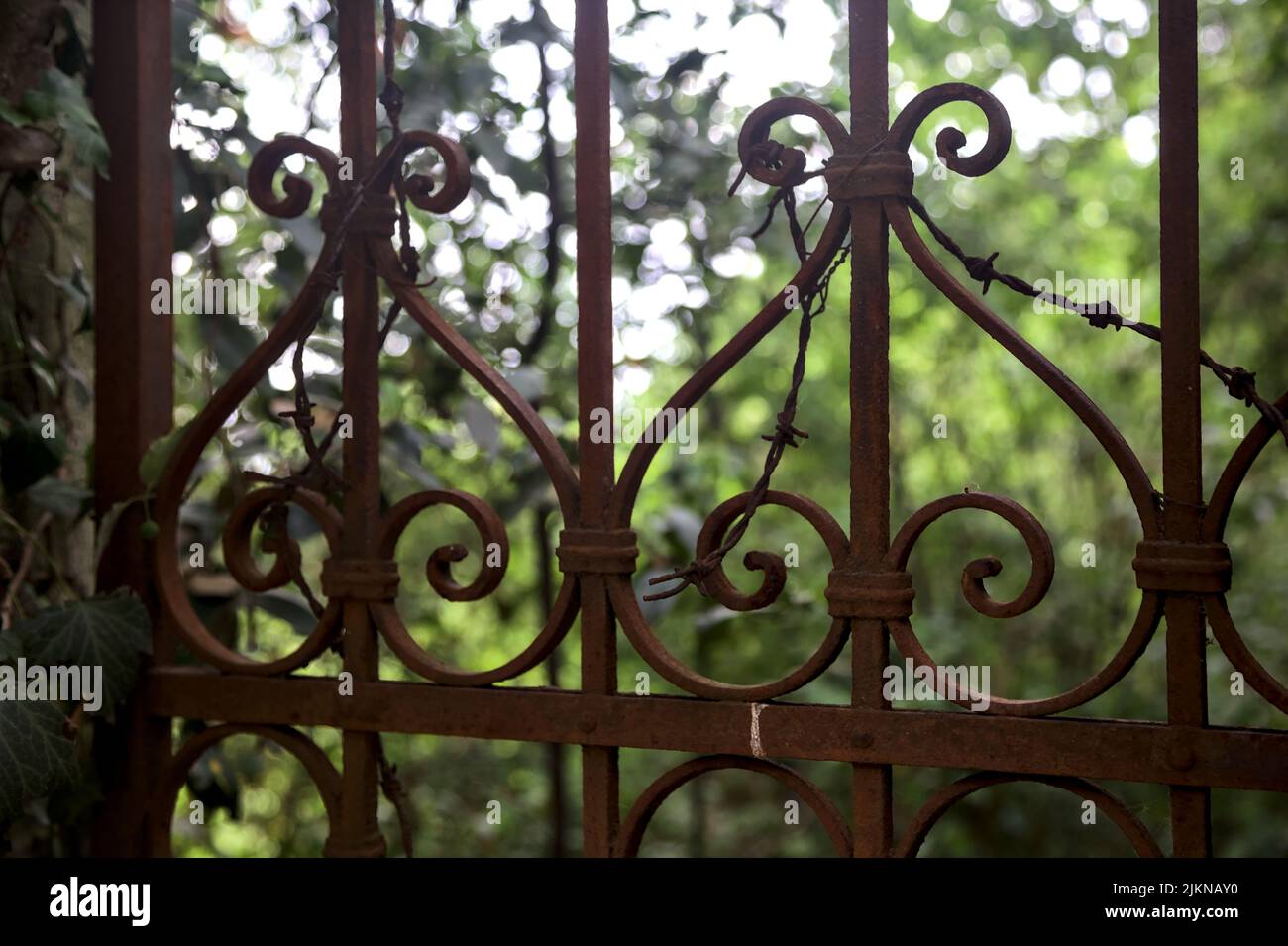 Abandoned garden behind a rusty gate Stock Photo - Alamy