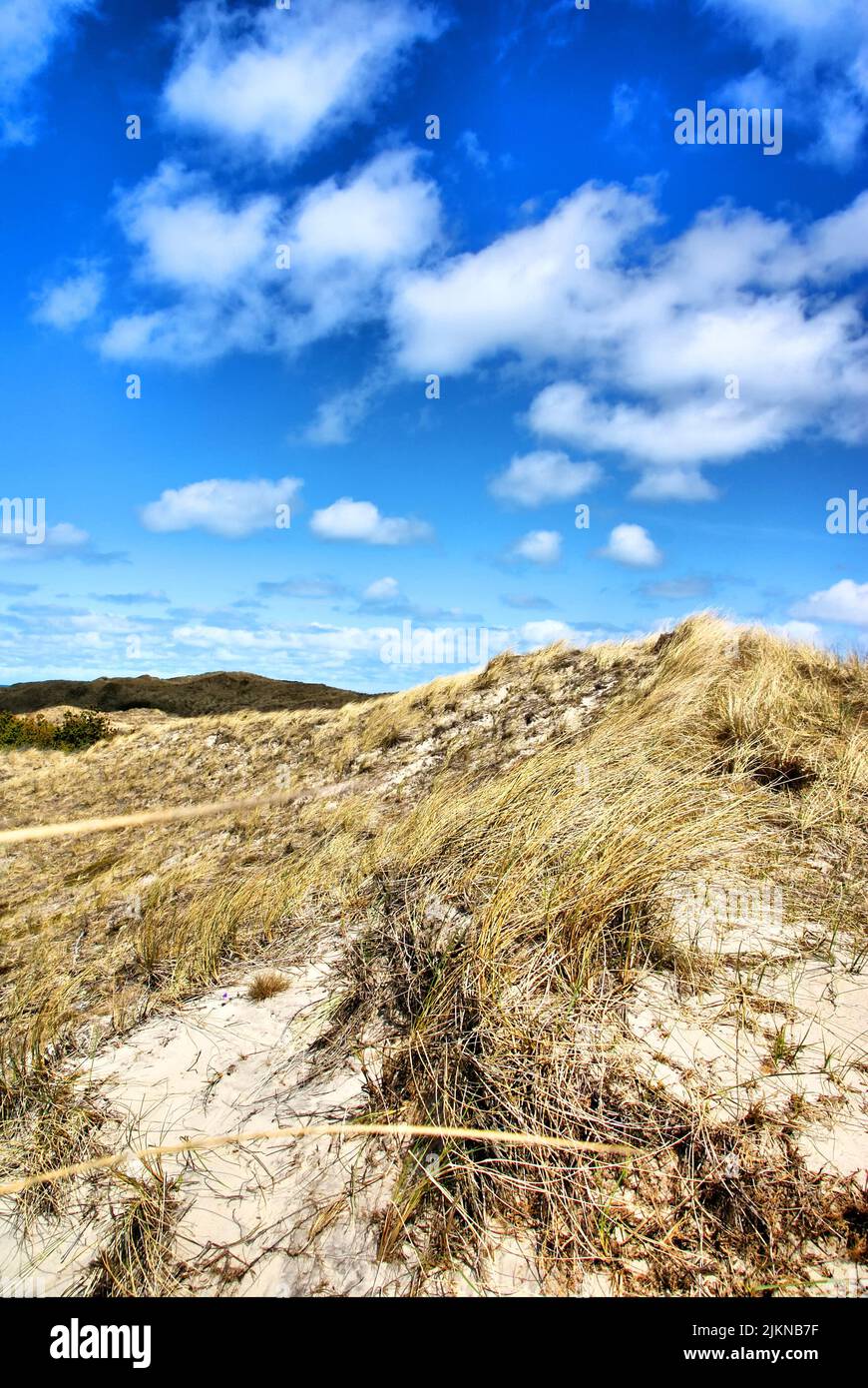 Vertical nature wallpaper hi-res stock photography and images - Alamy