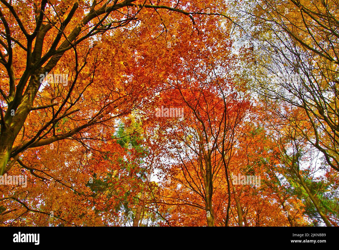 Beautiful fall view hi-res stock photography and images - Alamy