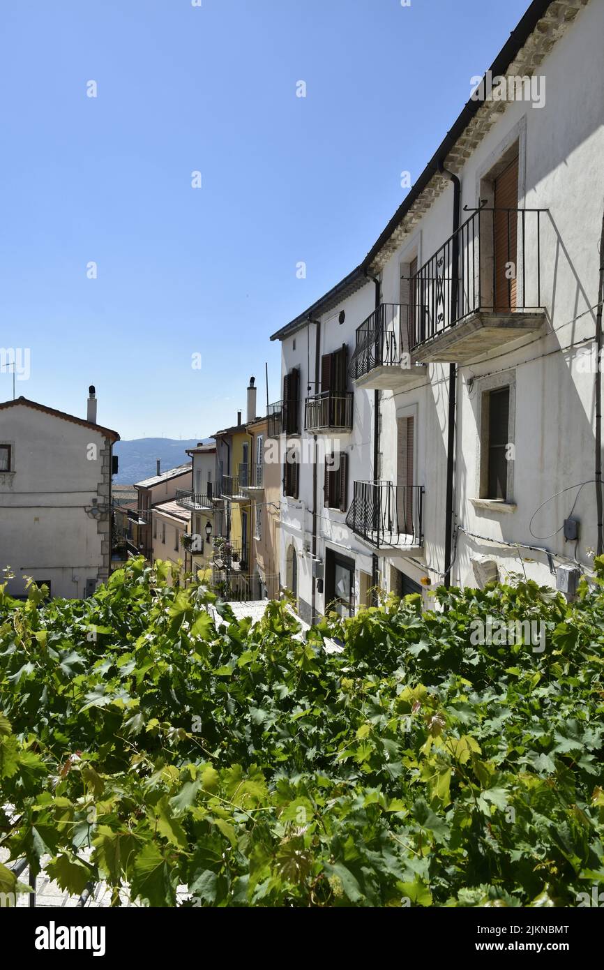 A vertical shot of old buildings in Santa Croce del Sannio village in ...