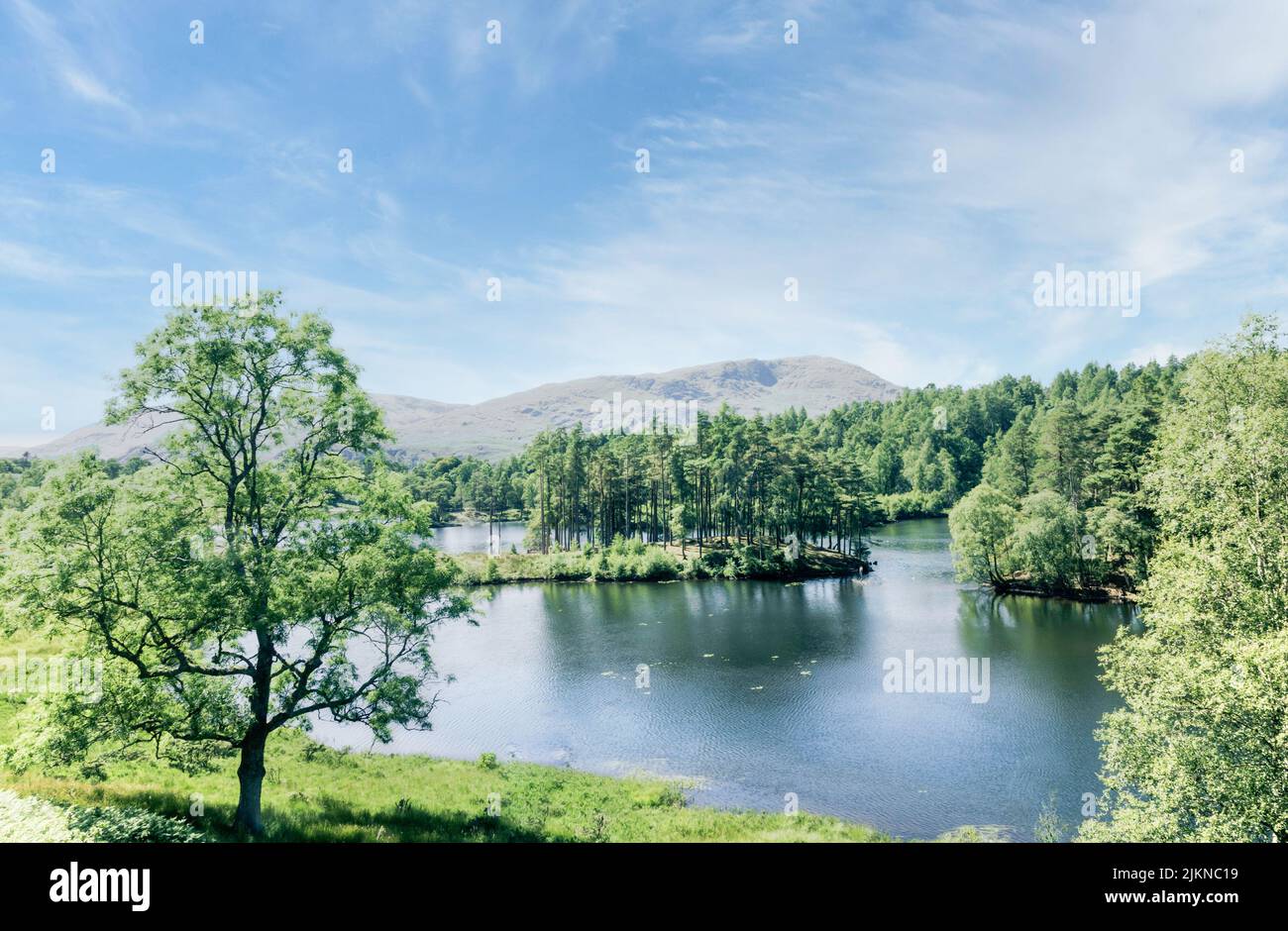 The beautiful landscape around Tarn Hows in The Lake District, Cumbria ...