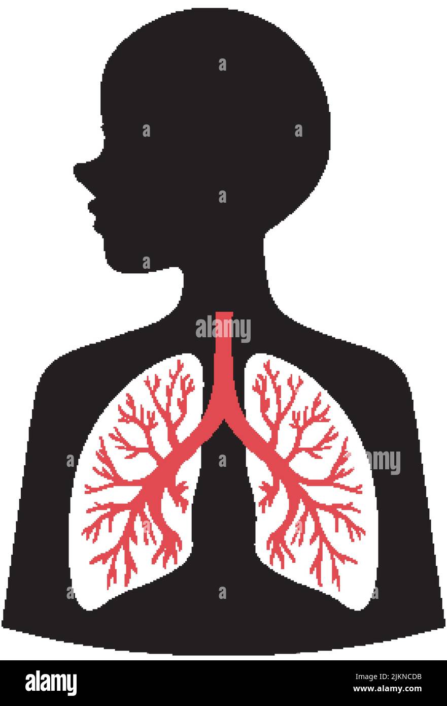 Lungs human icon vector illustration Stock Vector Image & Art - Alamy