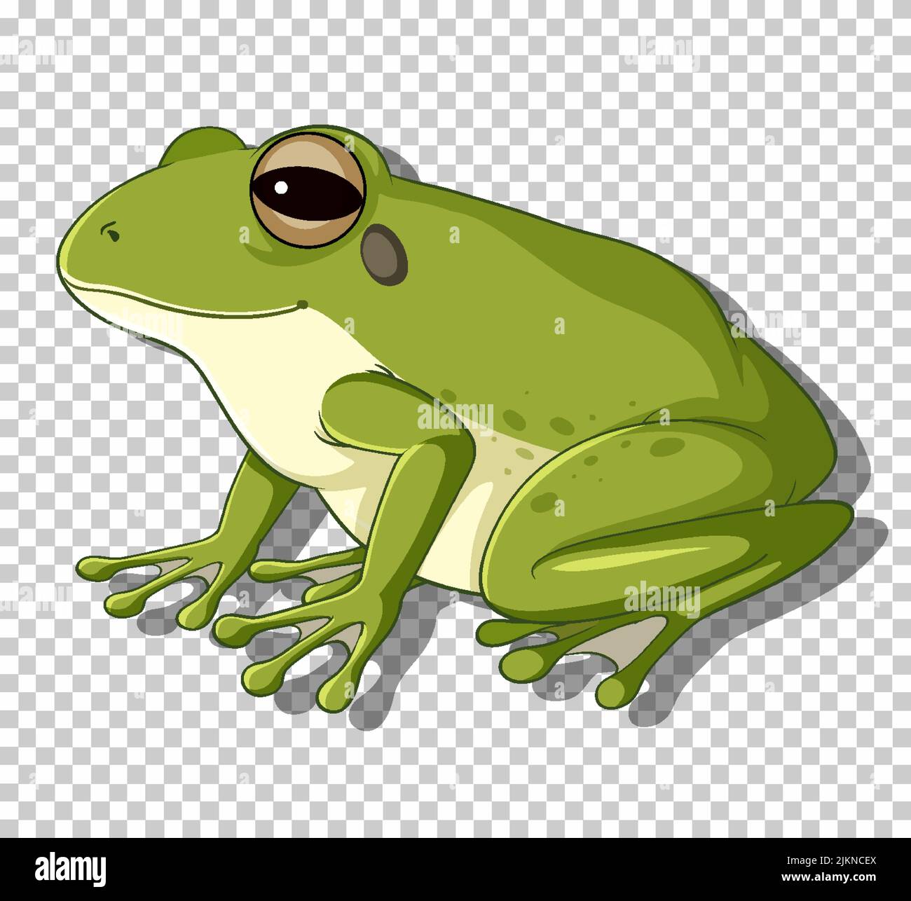 Green frog in flat cartoon style illustration Stock Vector Image & Art ...