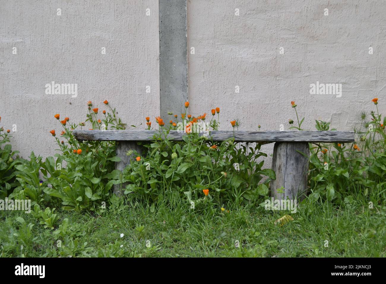 Crumbling flowers hi-res stock photography and images - Alamy