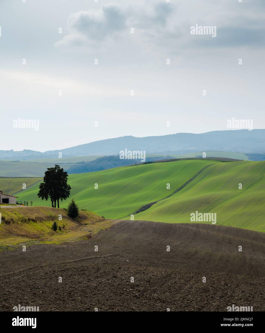 Flat green landscape hi-res stock photography and images - Alamy