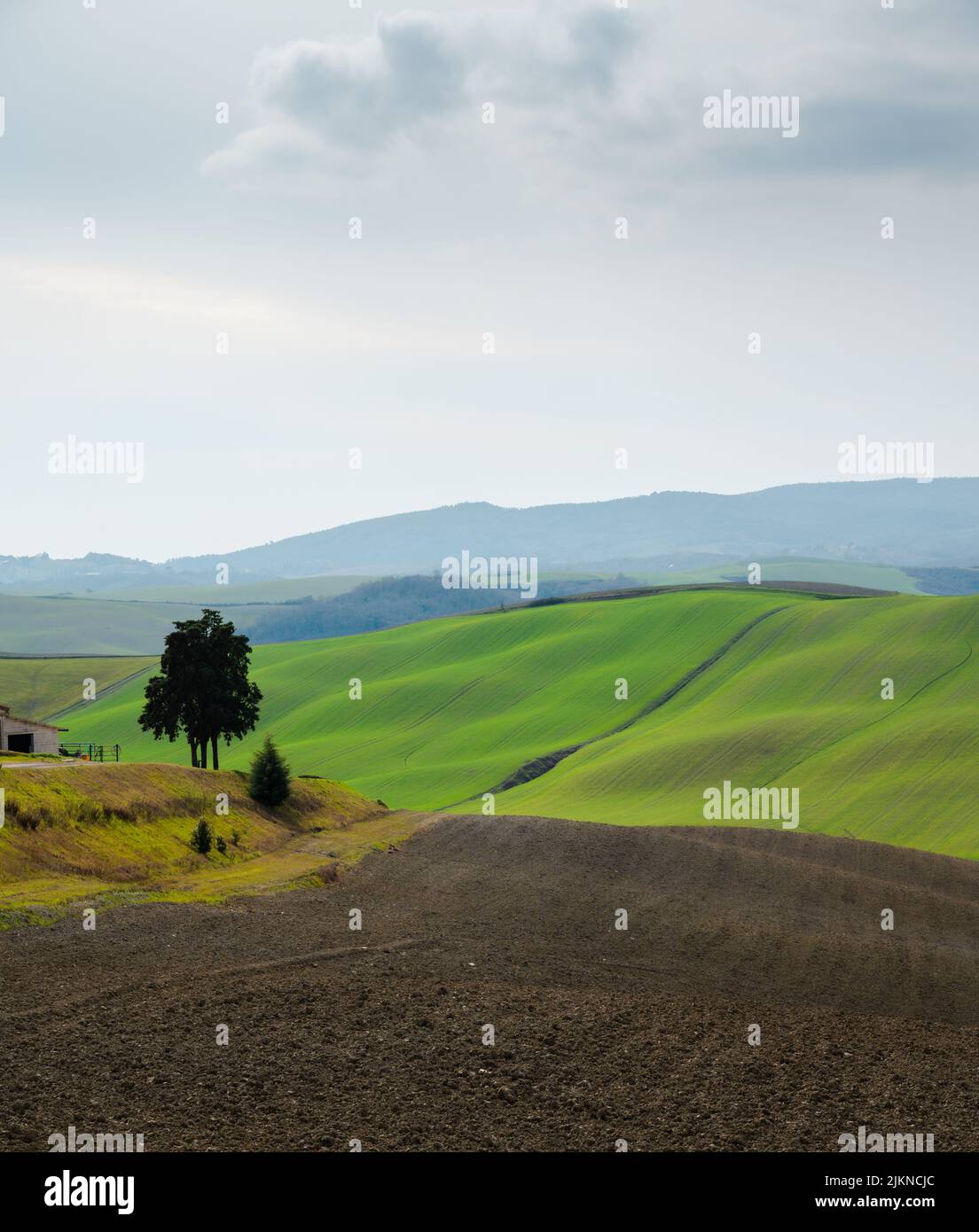 Flat green landscape hi-res stock photography and images - Alamy