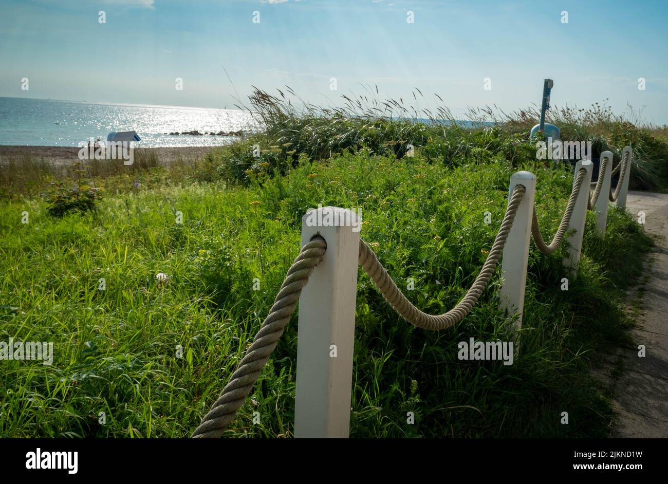 A beautiful landscape of green grass near a snady beach on a sunny ...