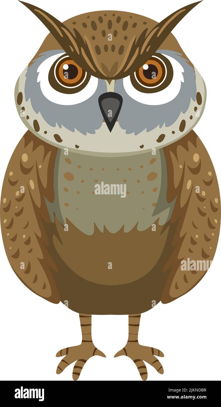 Front of owl in cartoon style illustration Stock Vector Image & Art - Alamy