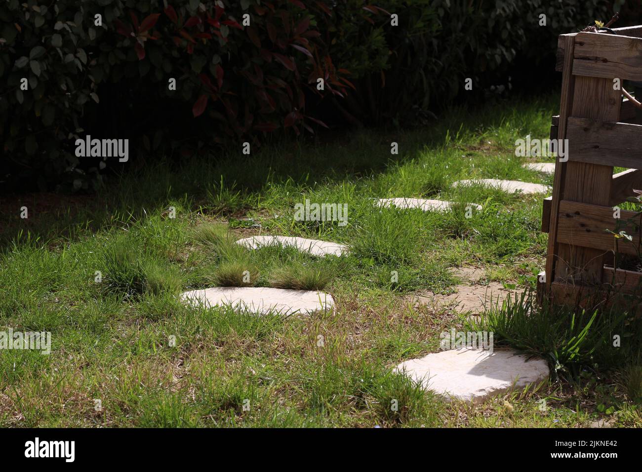 A white flagstone path in a garden with grass and a wooden fence on a ...