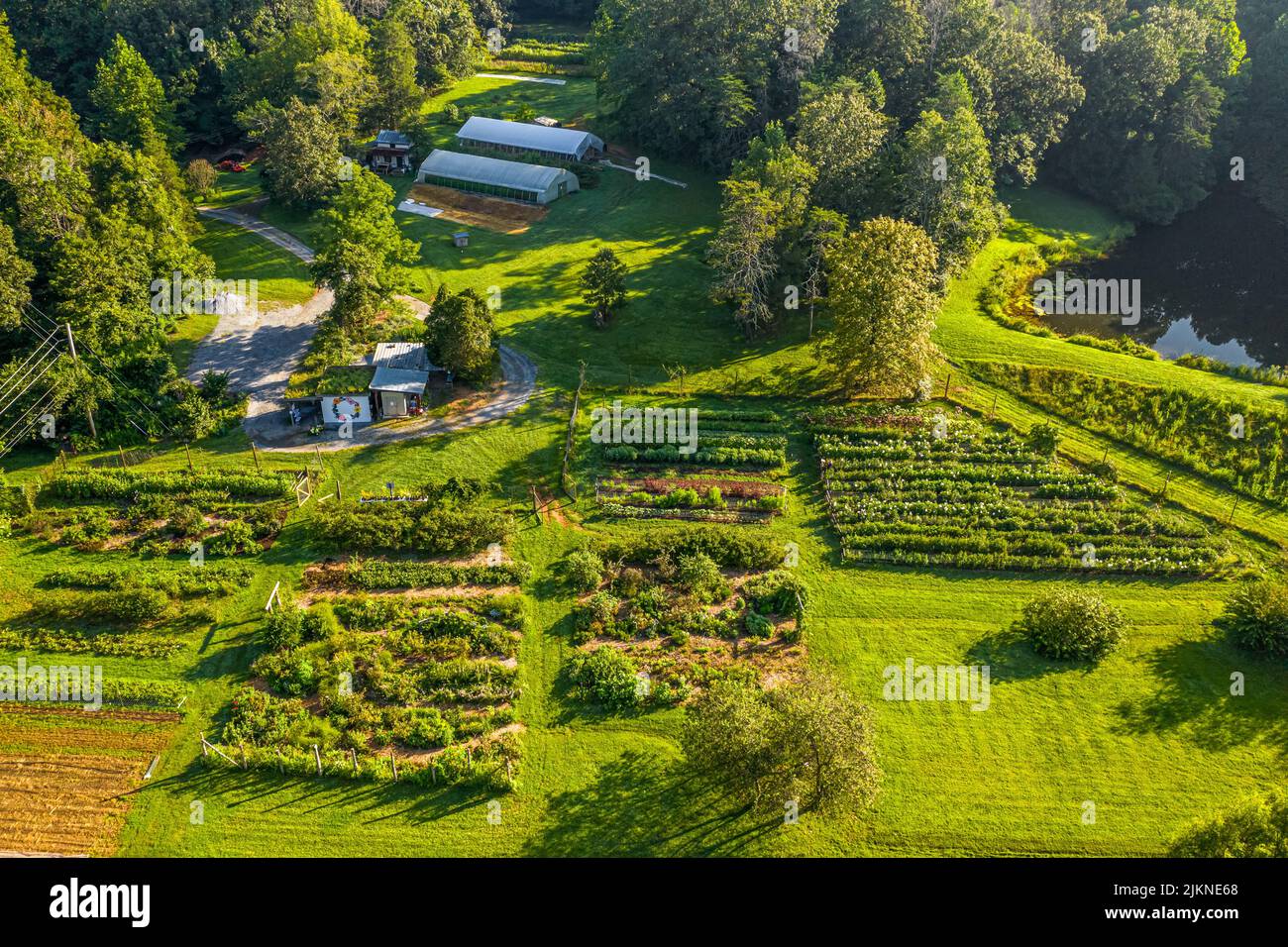 An aerial view of rural ranch with planted field near to a dense forest ...