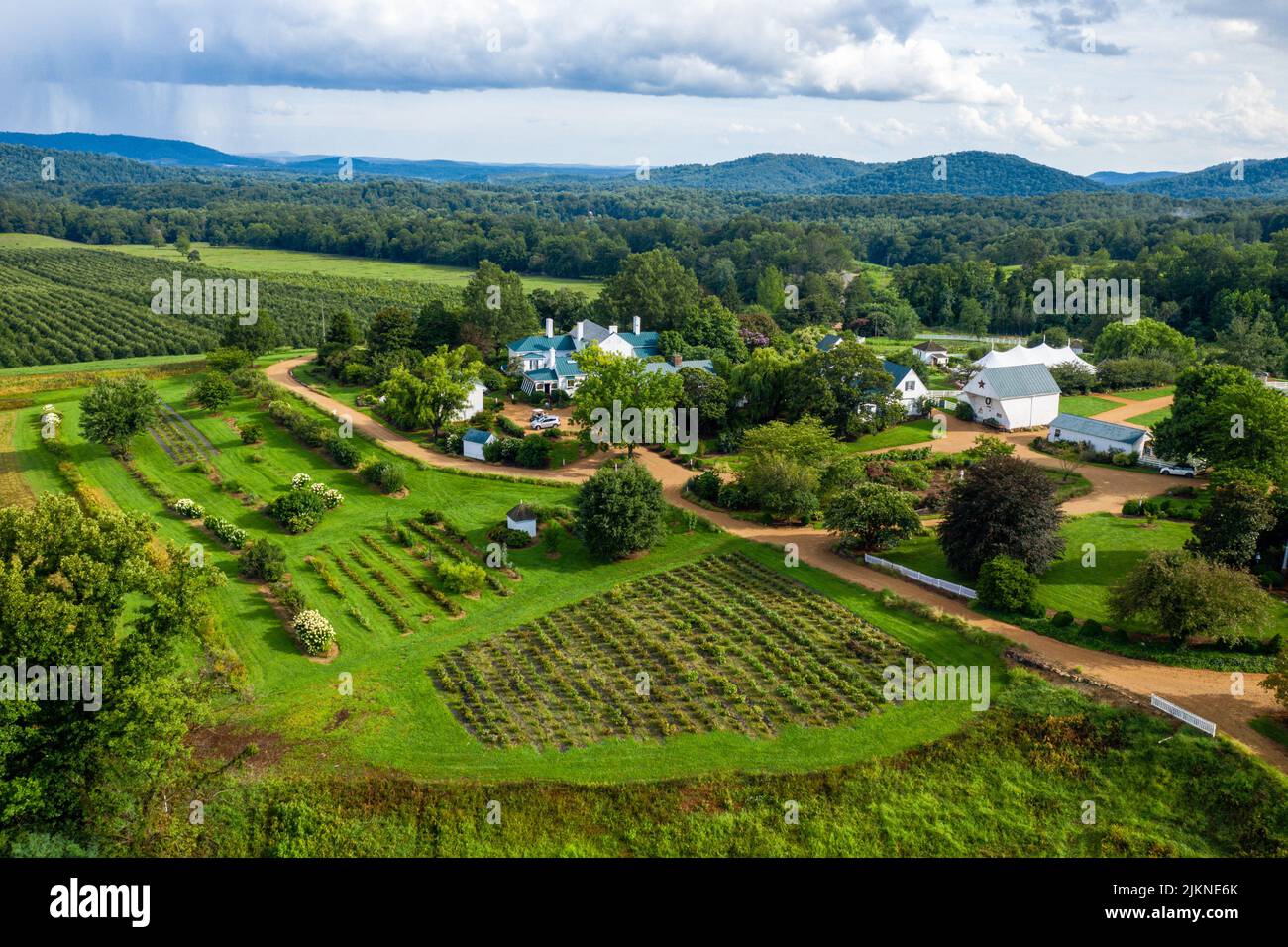 An aerial view of rural ranch with planted field near to a dense forest ...