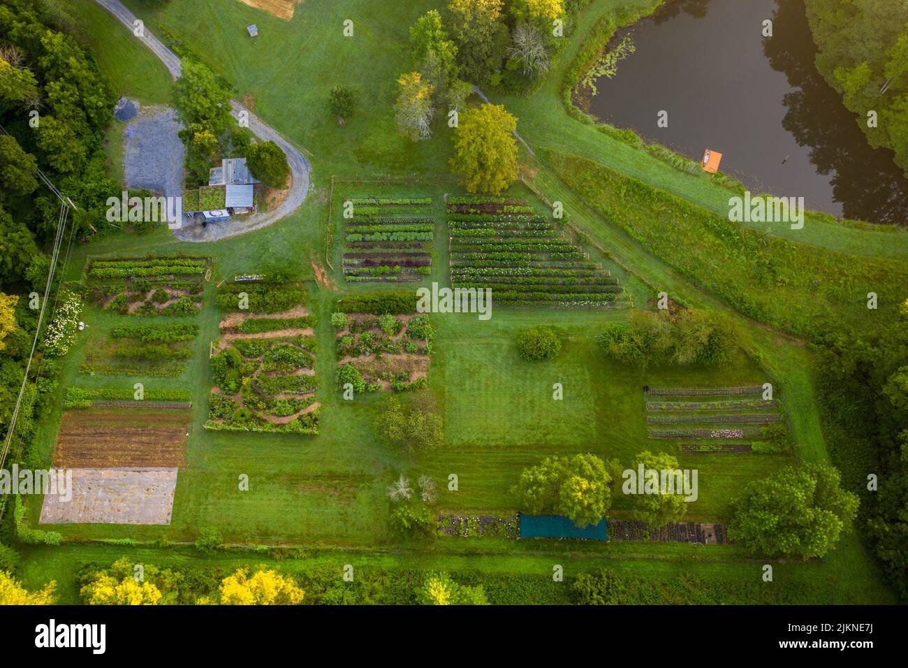 An aerial view of rural ranch with planted field near to a dense forest ...