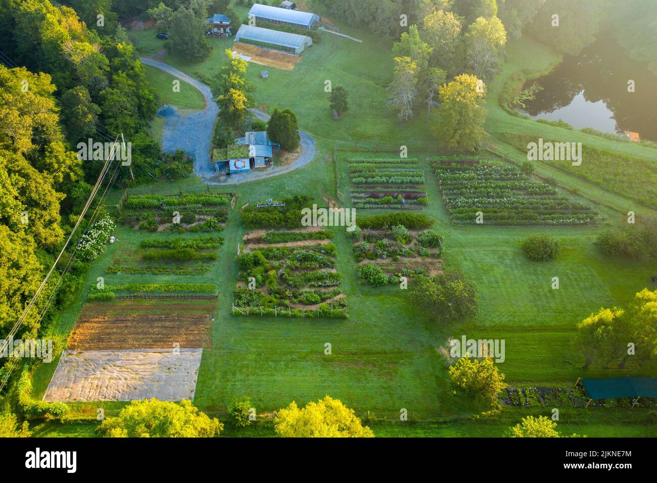 An aerial view of rural ranch with planted field near to a dense forest ...