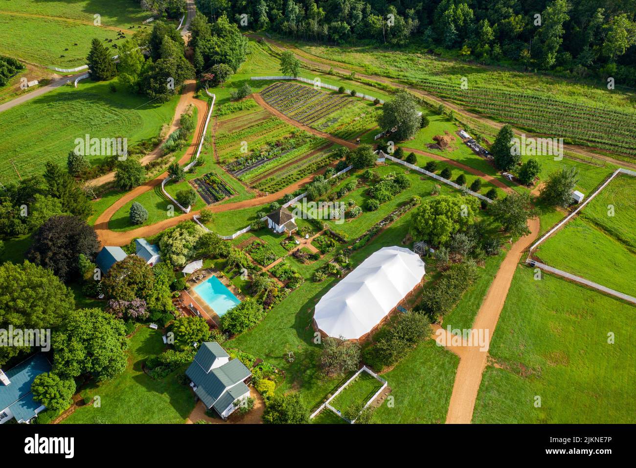 An aerial view of rural ranch with planted field near to a dense forest ...