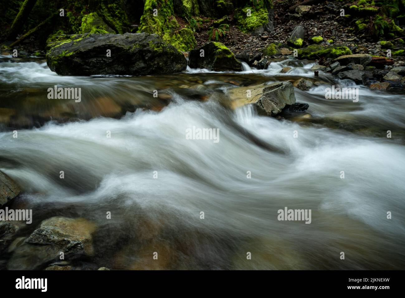 Goldstream Provincial Park, Victoria, BC Canada Stock Photo - Alamy