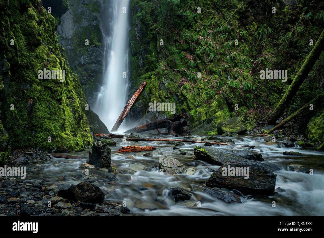 Goldstream Provincial Park, Victoria, BC Canada Stock Photo - Alamy