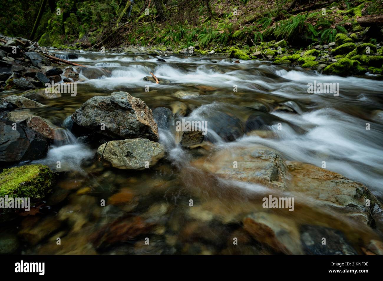 Goldstream Provincial Park, Victoria, BC Canada Stock Photo - Alamy