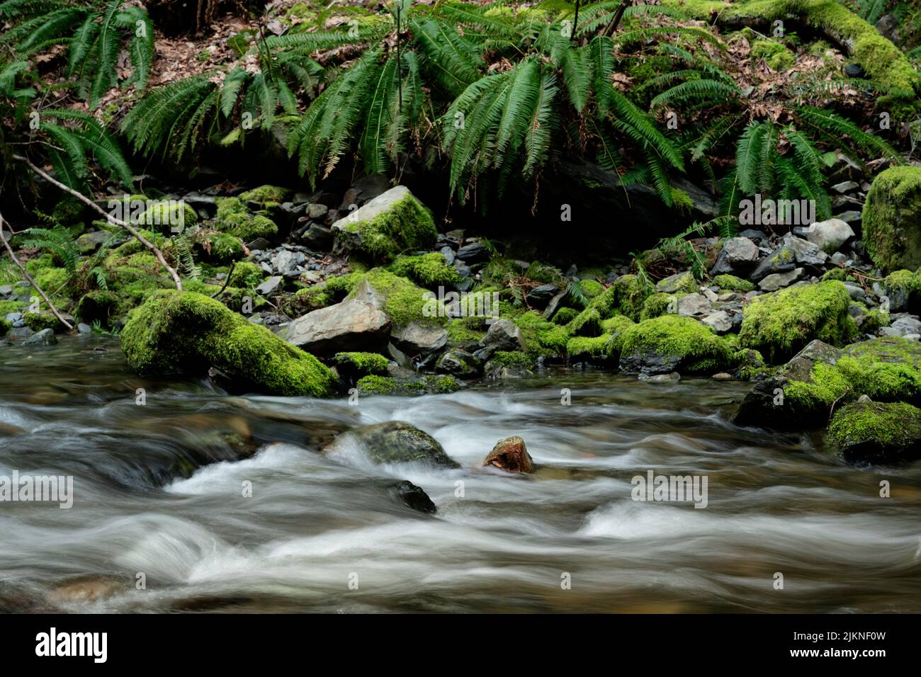 Goldstream Provincial Park, Victoria, BC Canada Stock Photo - Alamy