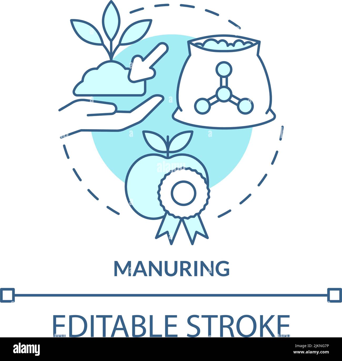 Crop for soil improvement Cut Out Stock Images & Pictures - Alamy