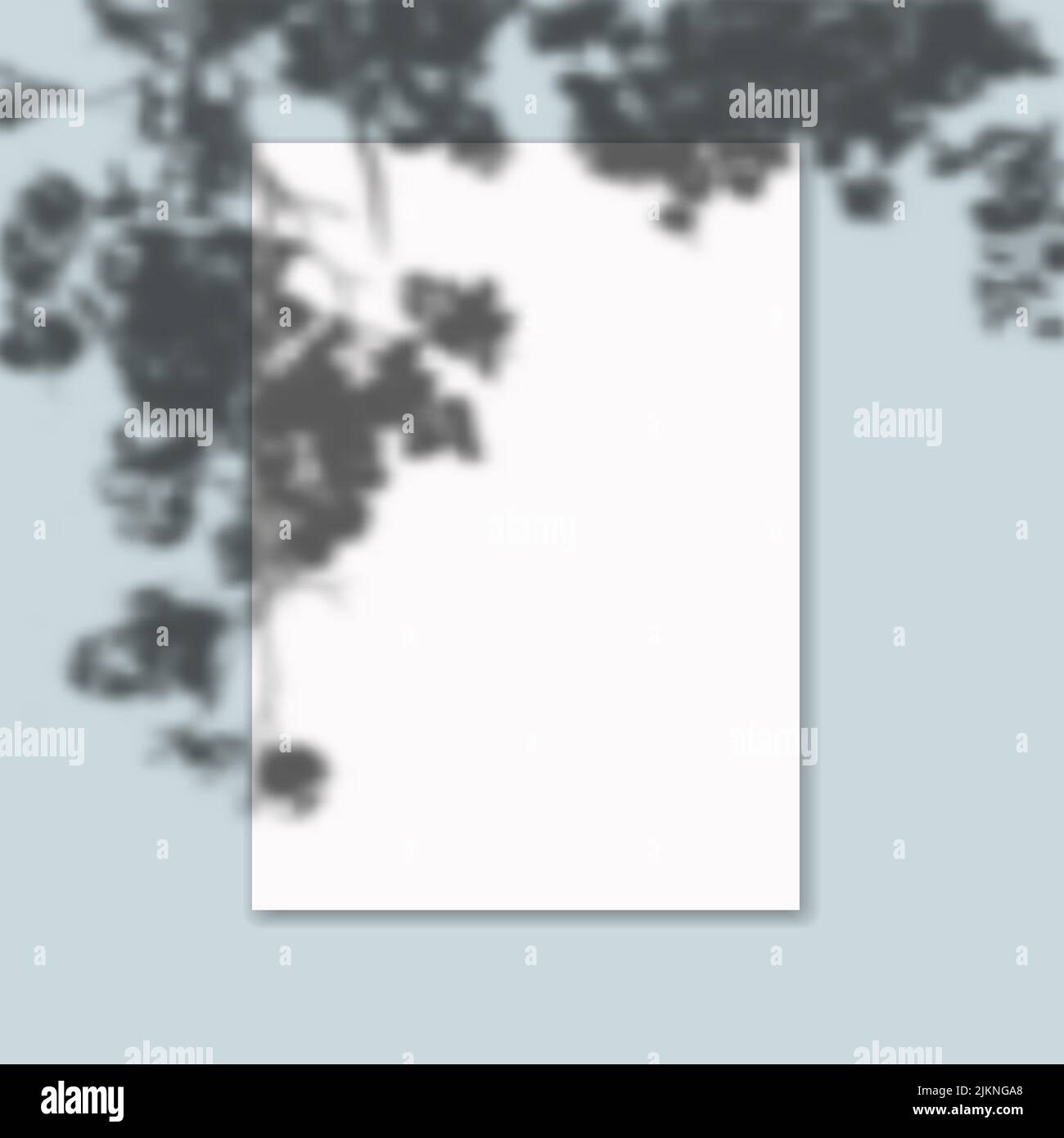 Modern minimalist style.Scenes of natural lighting.For presentation ...